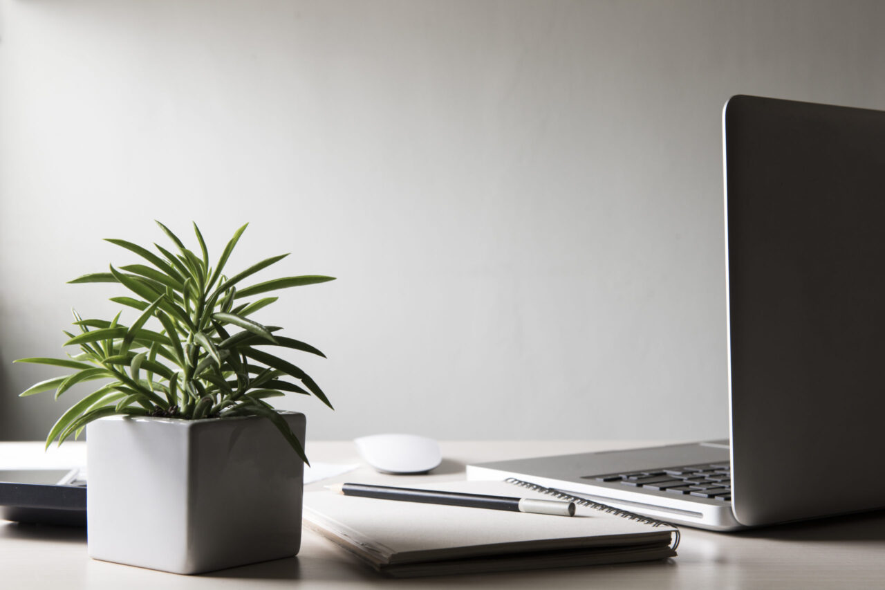 Cashless Exercise of Non Qualified Stock Options